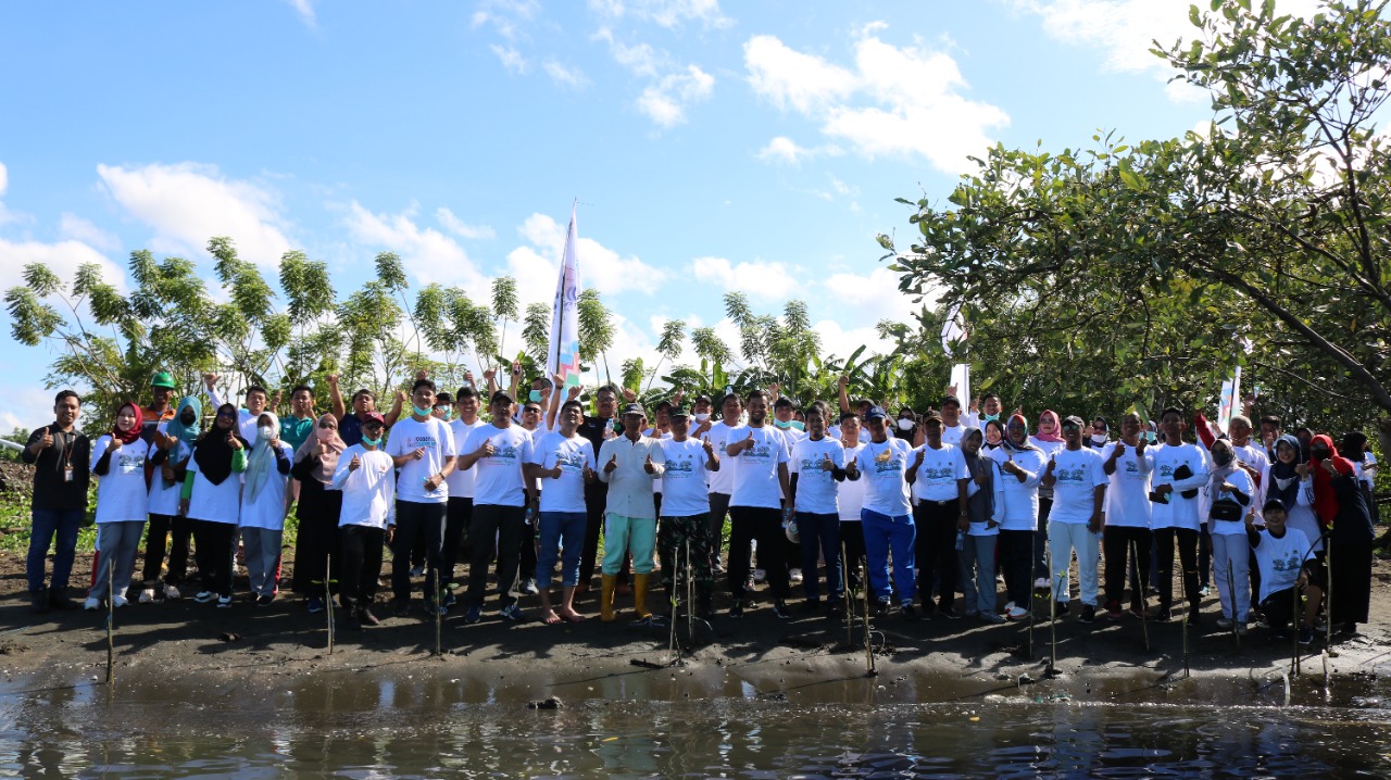 Peduli Lingkungan, PT PLN Indonesia Power PLTU Barru Tanam 1000 Pohon ...